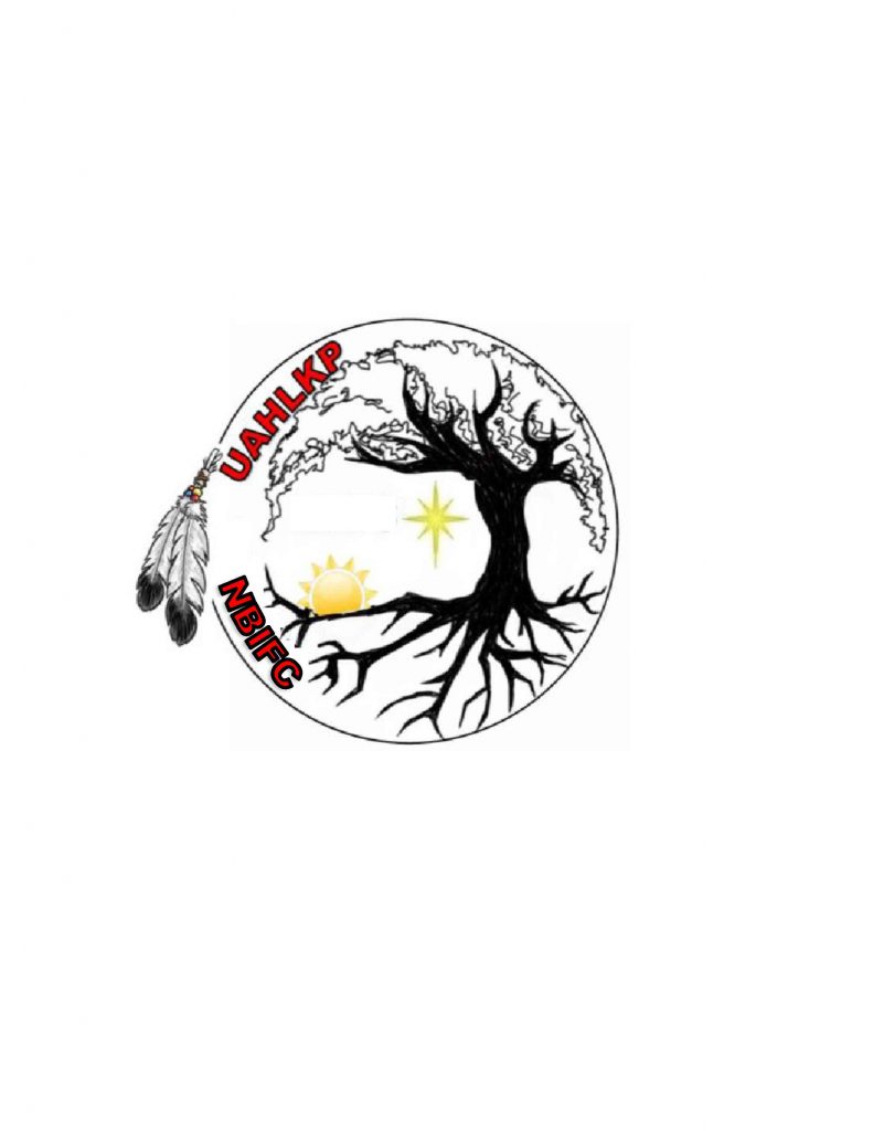 Urban Aboriginal Healthy Living Kids Program – North Bay Indigenous ...