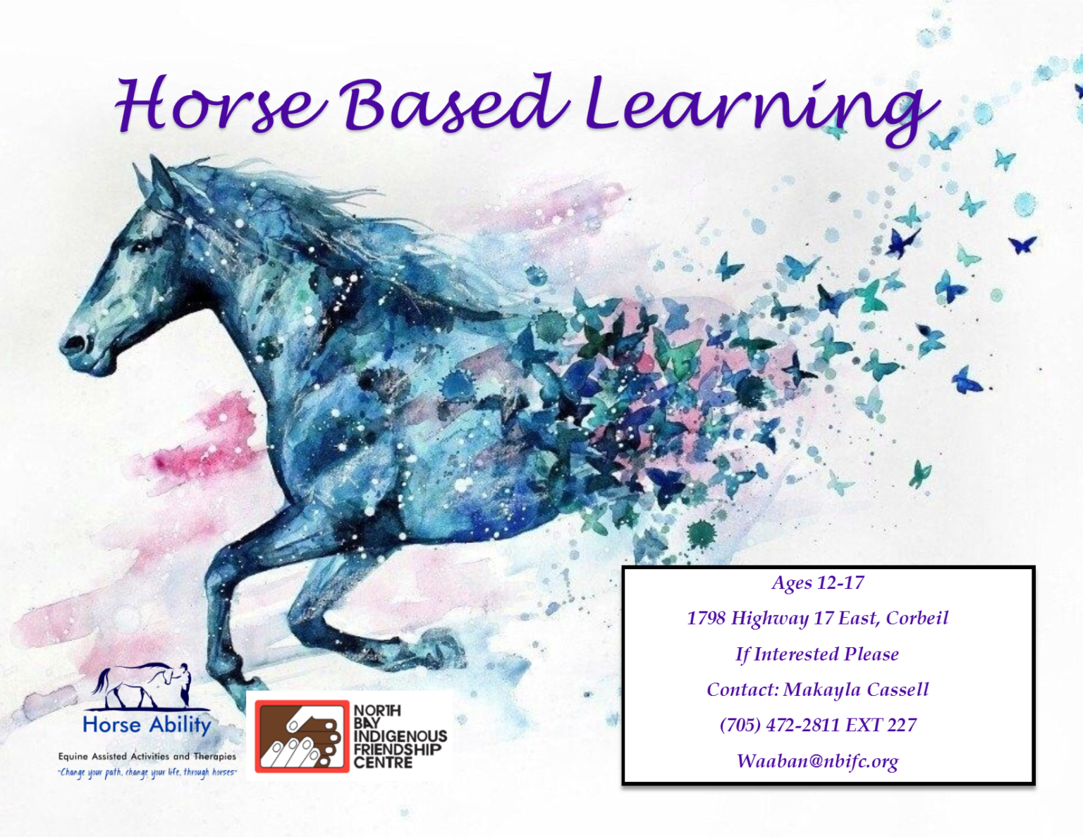 Horse Based Learning – North Bay Indigenous Friendship Centre