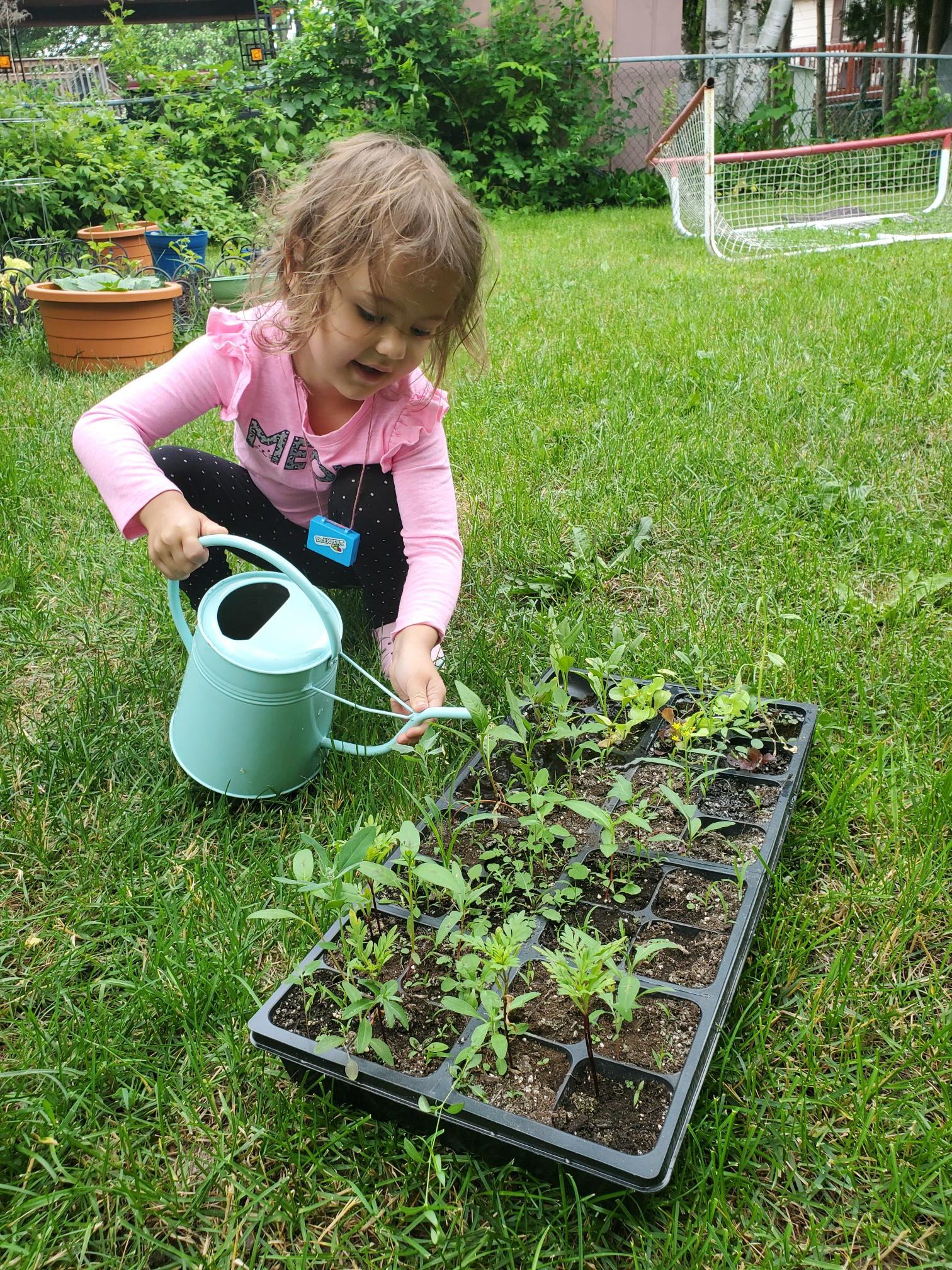 Aboriginal Family Support Program – North Bay Indigenous Friendship Centre